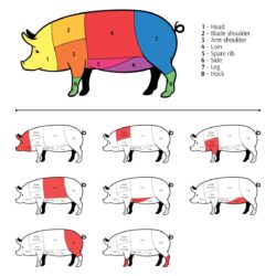 Printable Pork Cuts Chart With Cooking Tips for Every Cut